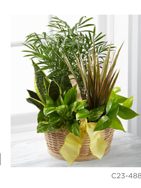 FTD French Garden Basket – Sunnybrook Flower Shop